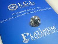 egl-platinum.com: EGL Platinum Reports